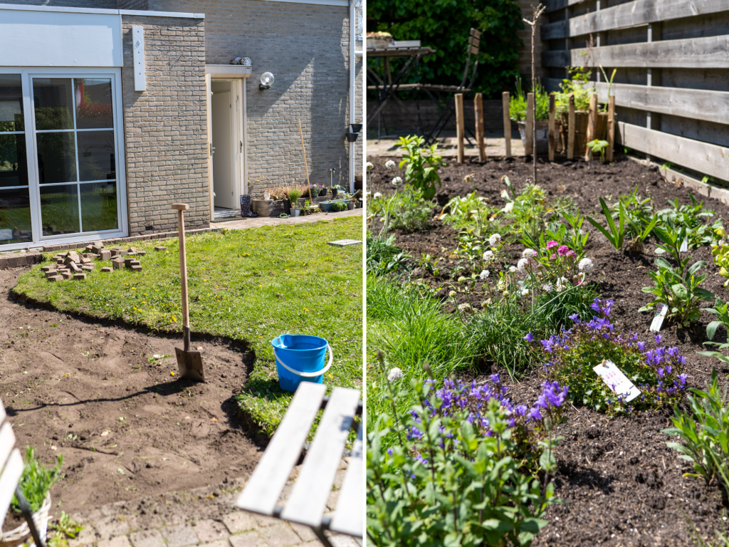 Van gazon naar border: stap voor stap een border maken - Plantleven